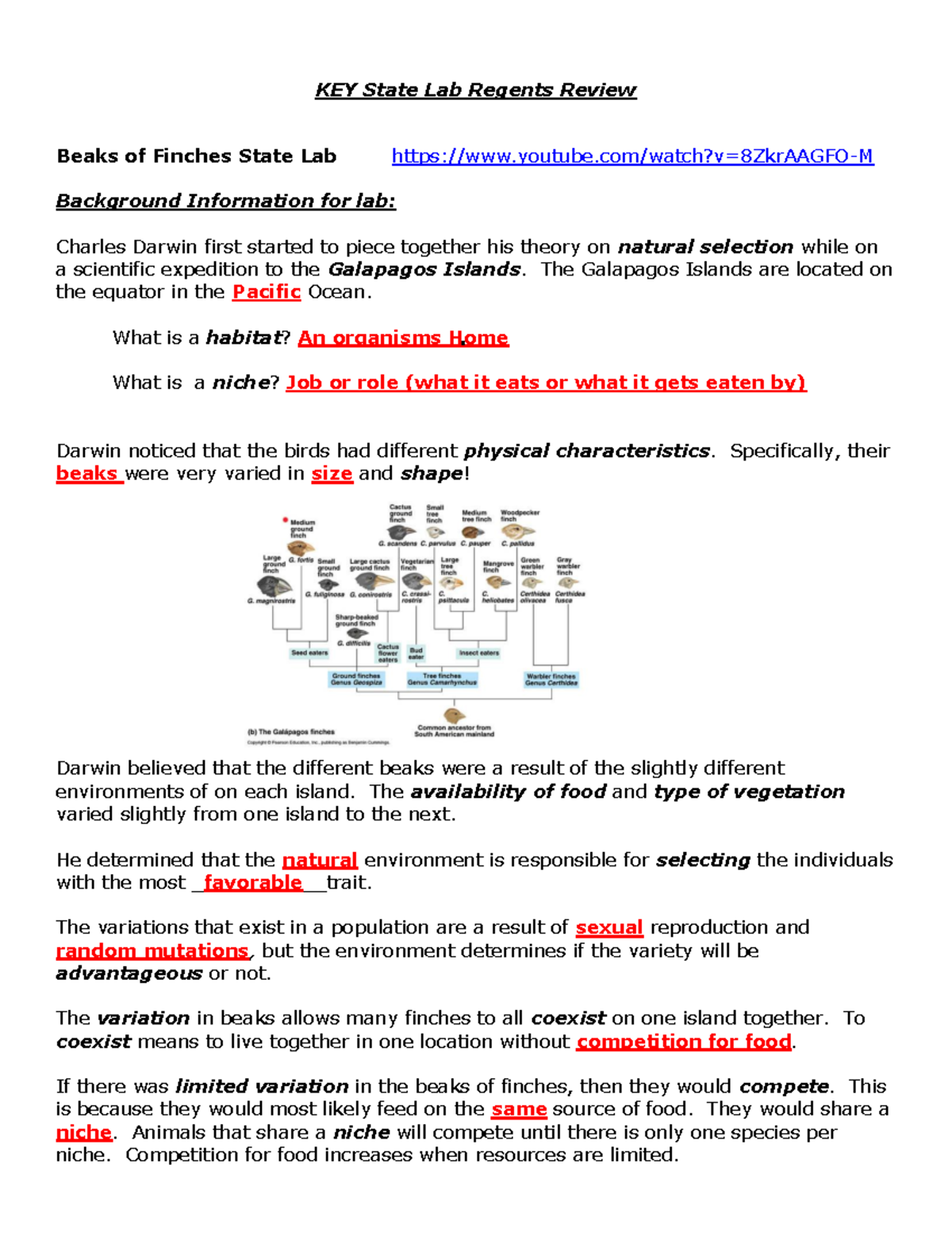 Beaks of Finches & Natural Selection Lab (Regents Review) - Studocu