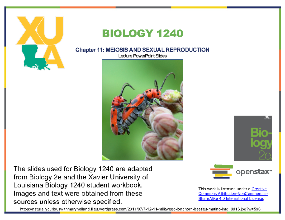 Biology 1240: Chapter 11 PowerPoint on Meiosis & Sexual Reproduction ...