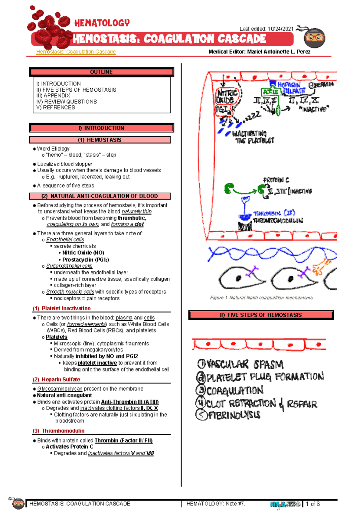 347 - Hematology [Lecture Notes]: Hemostasis Coagulation Cascade - Studocu