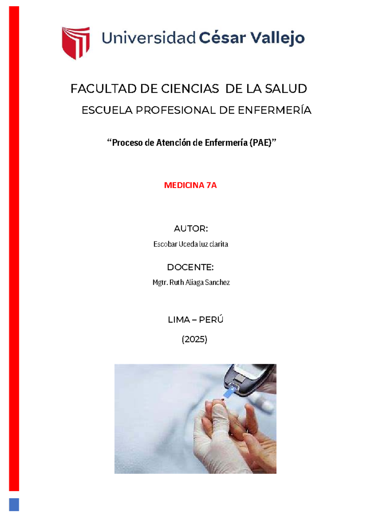 313a524d 2408 4c33 bf26 51e1ace35643 - LIMA – PERÚ (2025) ####### Mgtr ...