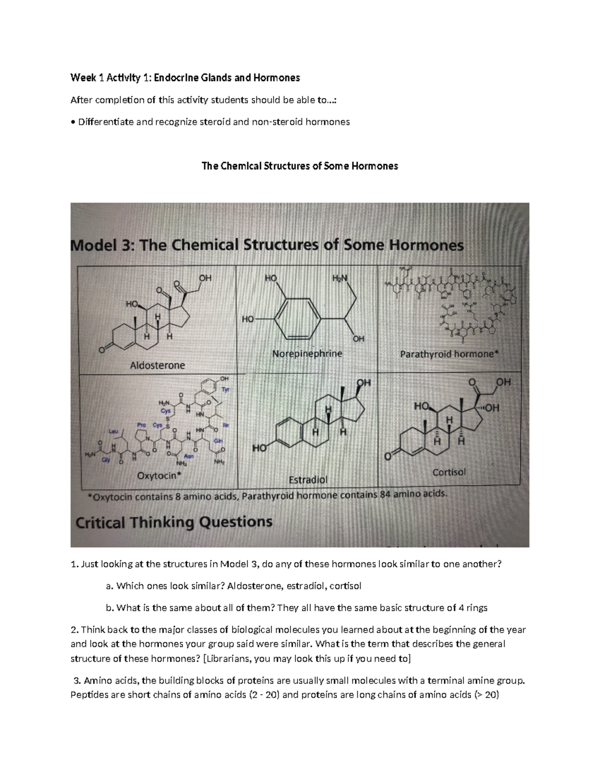 Week 1 Activity: Endocrine Glands & Hormones Overview - Studocu