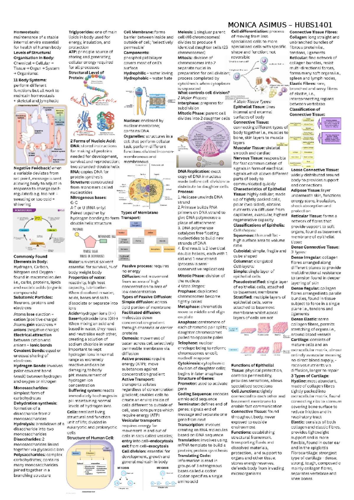 HUBS1401 Homeostasis: Summary Aid for Mid Sem Exam on Cell Functions ...