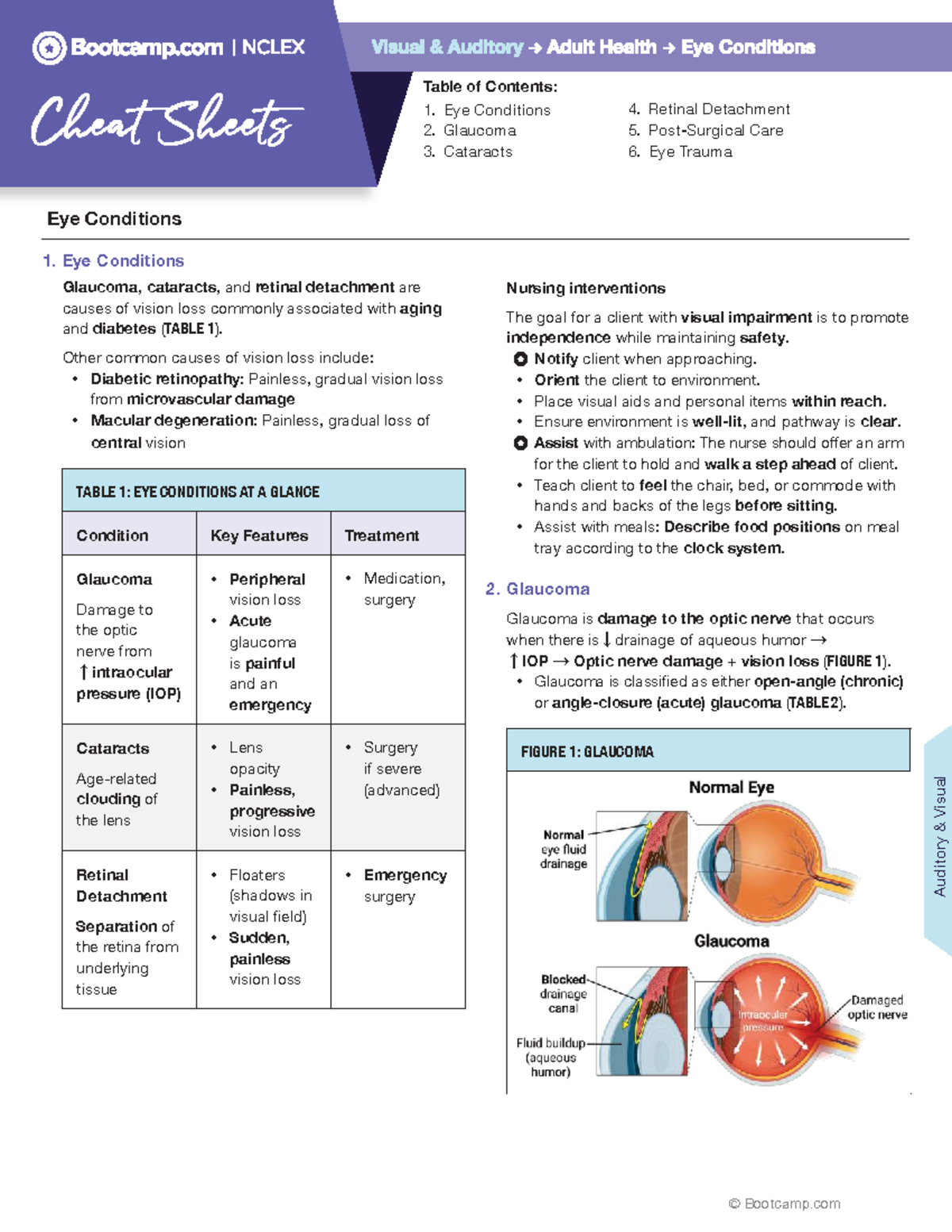 Eye Conditions Cheat Sheet: Glaucoma, Cataracts, Retinal Detachment ...