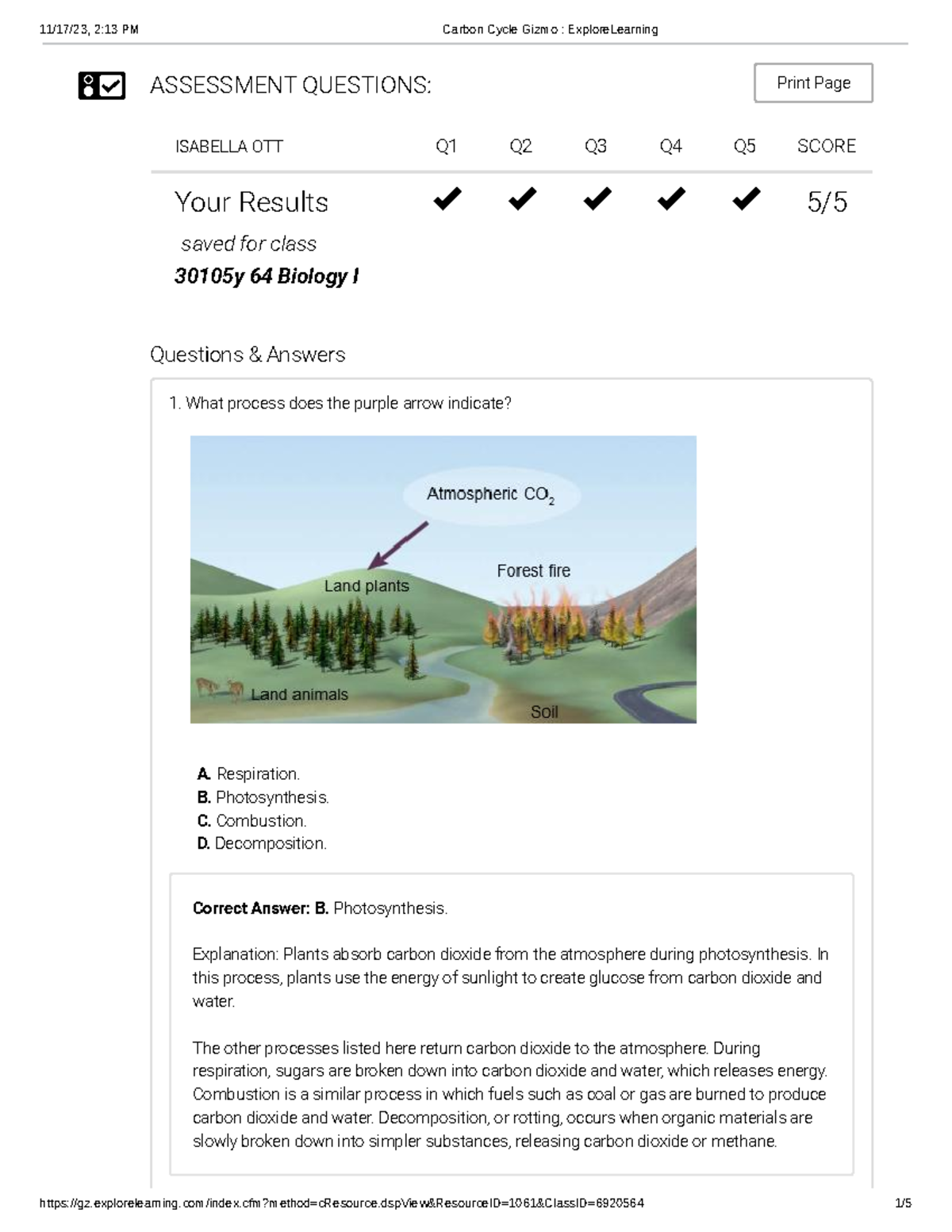 Biology I 30105y Final Exam: Carbon Cycle Assessment Questions - Studocu