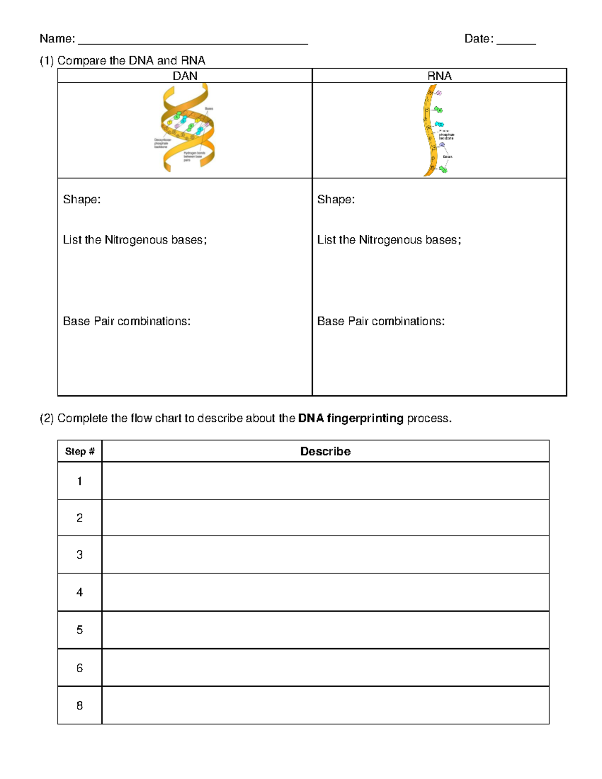 Dna Fingerprinting Forensics Worksheet