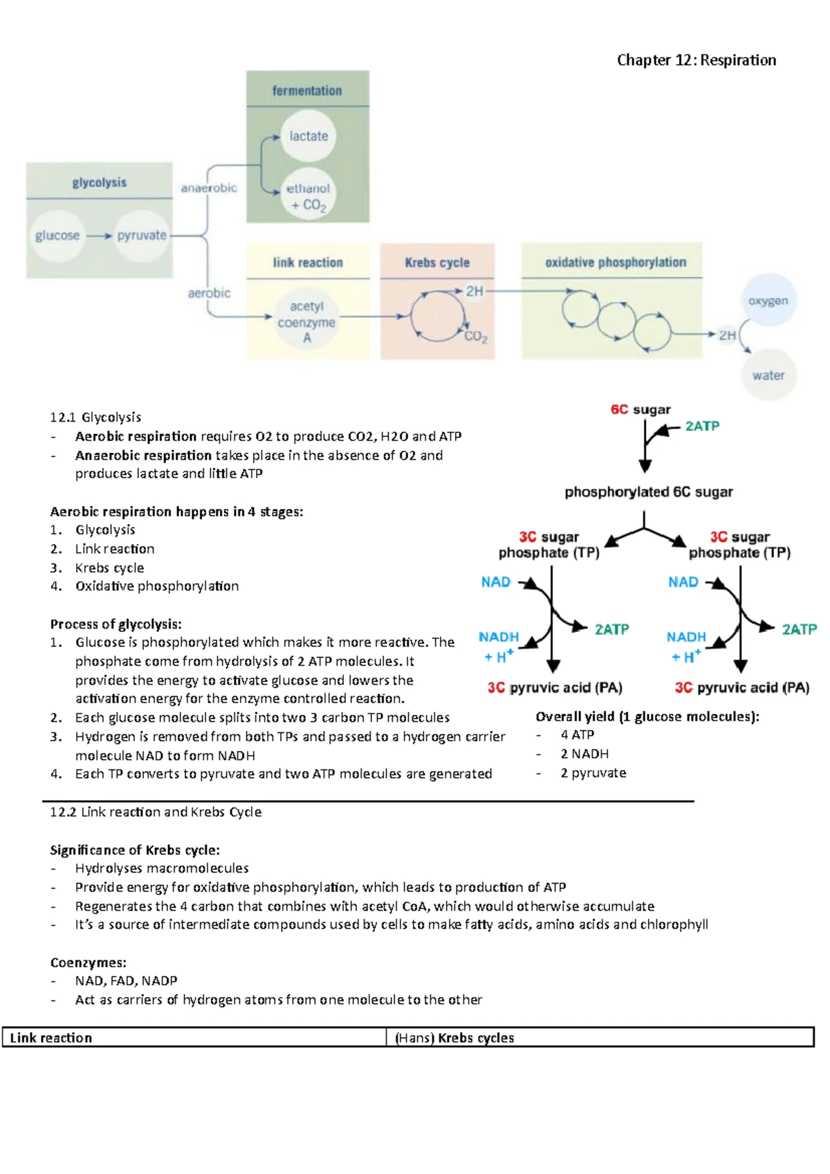 Biology topic 7 guide - notes best - TOPIC 7: RUN FOR YOUR LIFE For the ...