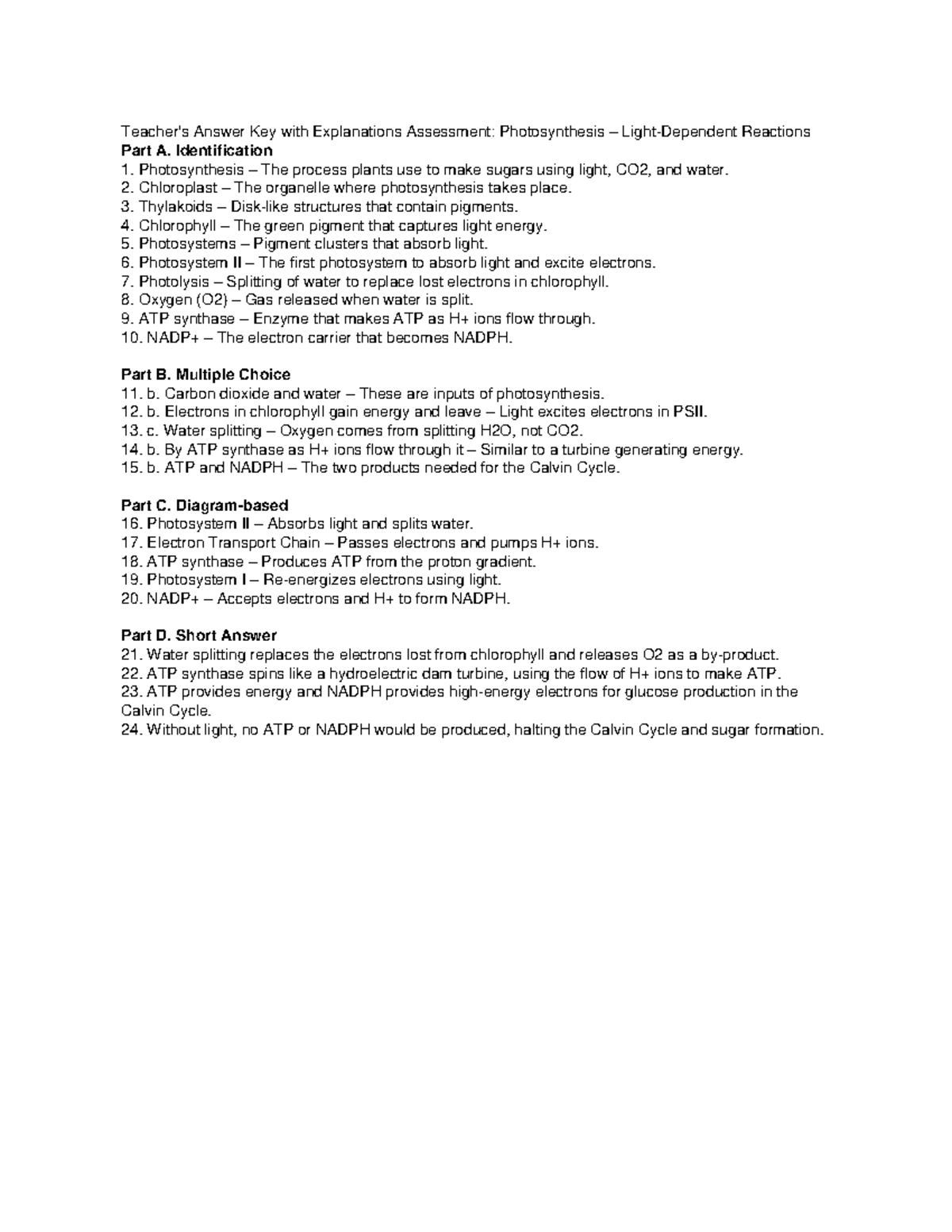Photosynthesis Assessment Answer Key: Reactions & Explanations - Studocu