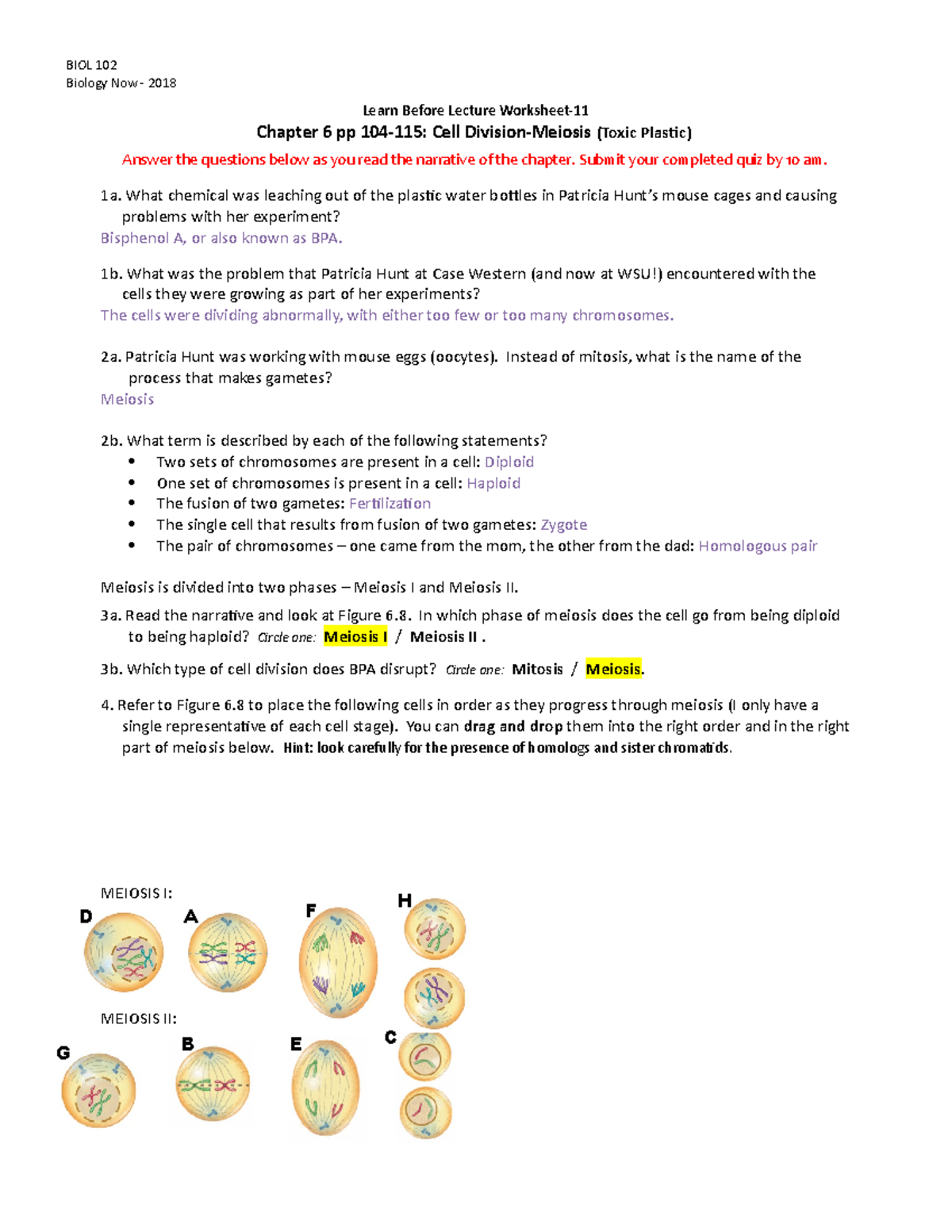 LBL-5. Cell Division-Ch 6 2019 - BIOL 102 Biology Now 2018 Learn Before ...