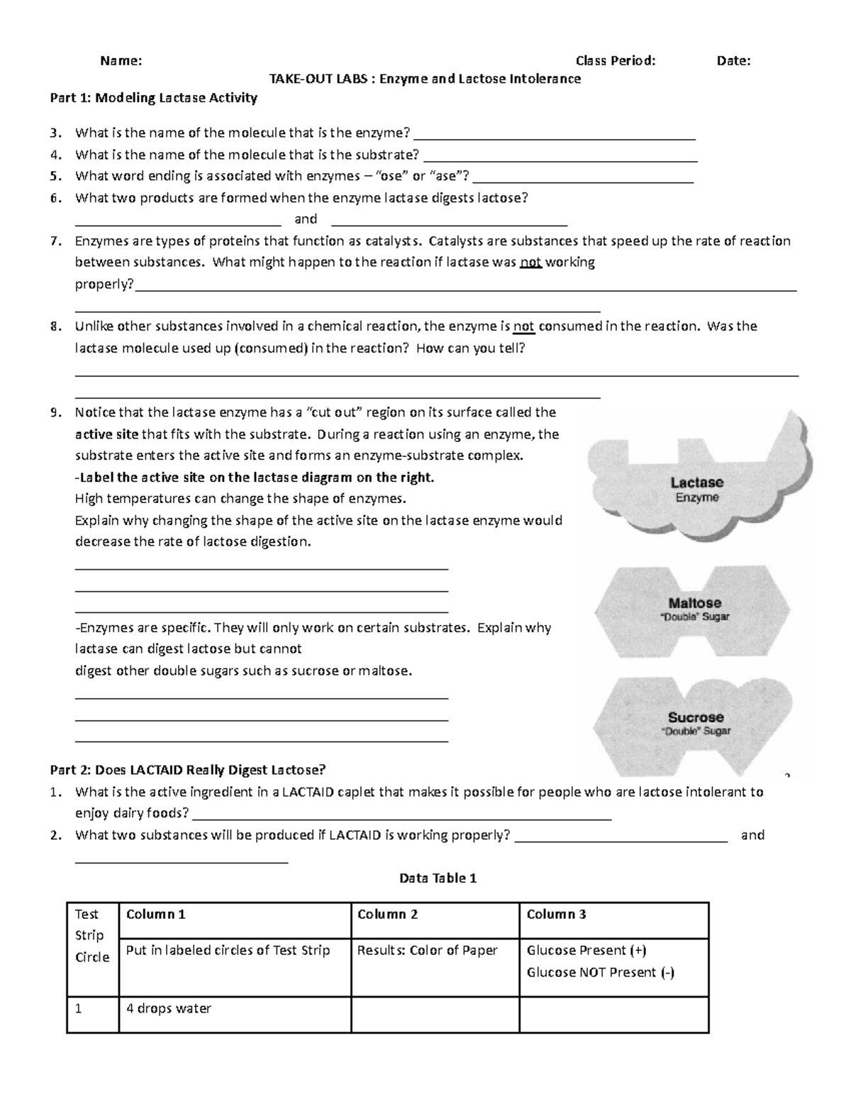 Lactase and Lactose Intolerance Lab Experiment Guide (Bio 101) - Studocu