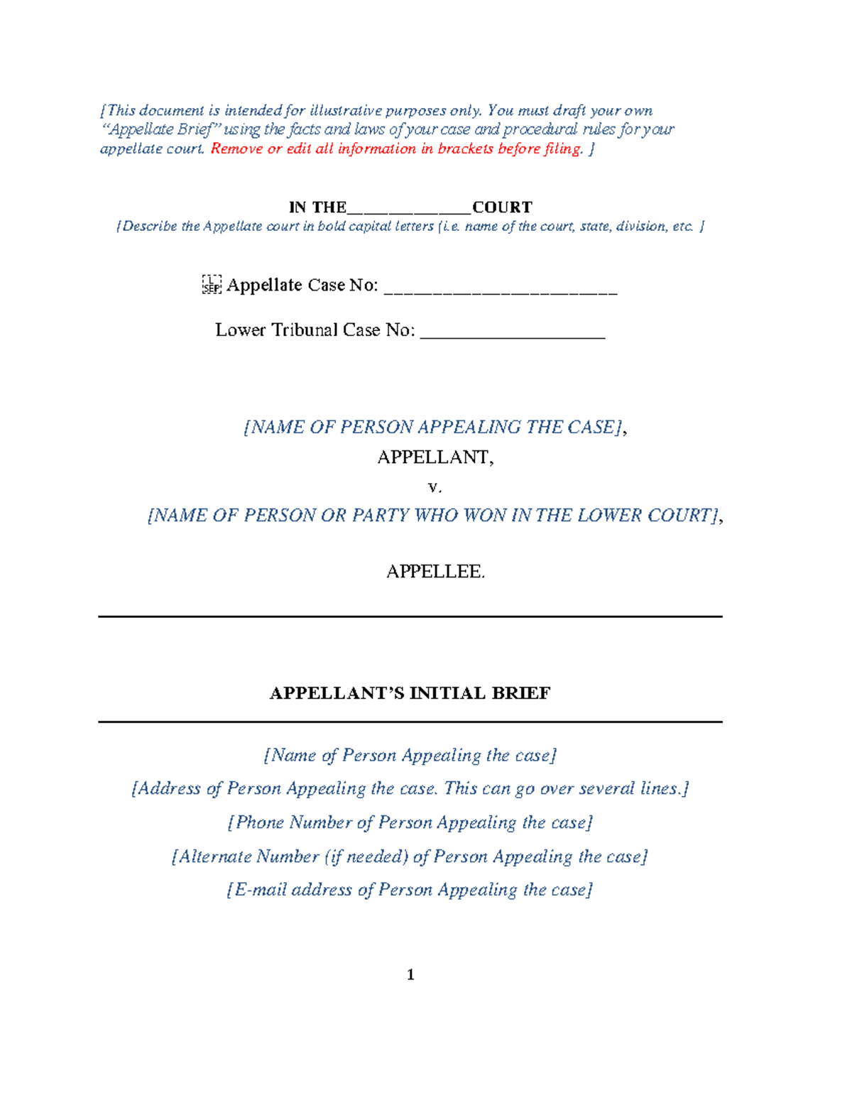 Appellate Court Opening Brief Template for Case No: [Your Case No ...