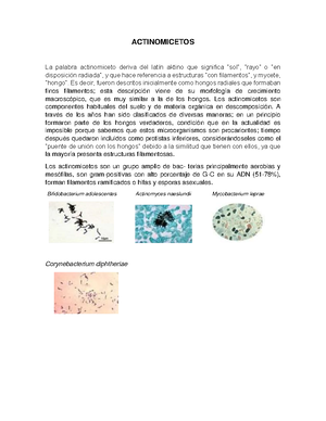Piedraia hortae - Forma: Presentan una forma redonda o irregular, con ...