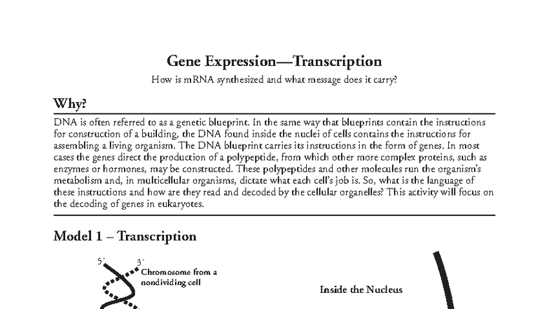 Gene Expression & Transcription (AP Biology) - Understanding mRNA ...