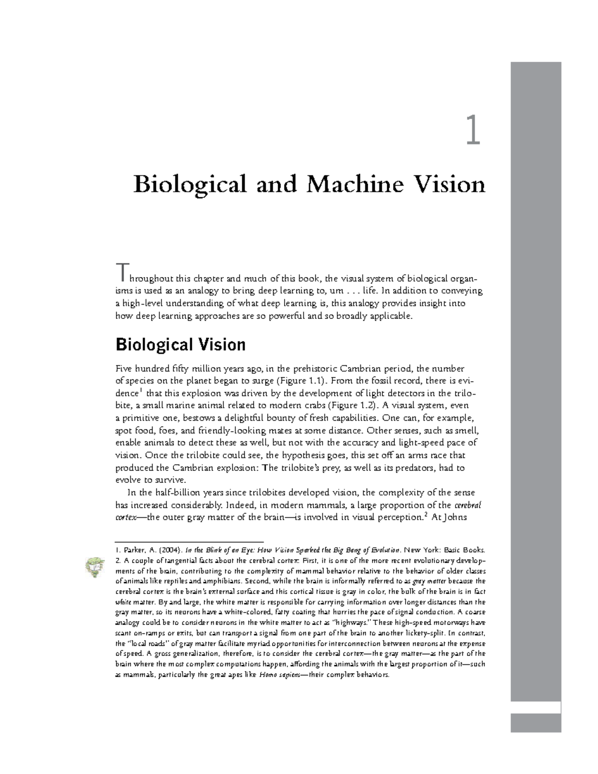 DL M1 - Biological and Machine Vision: Insights into Deep Learning ...