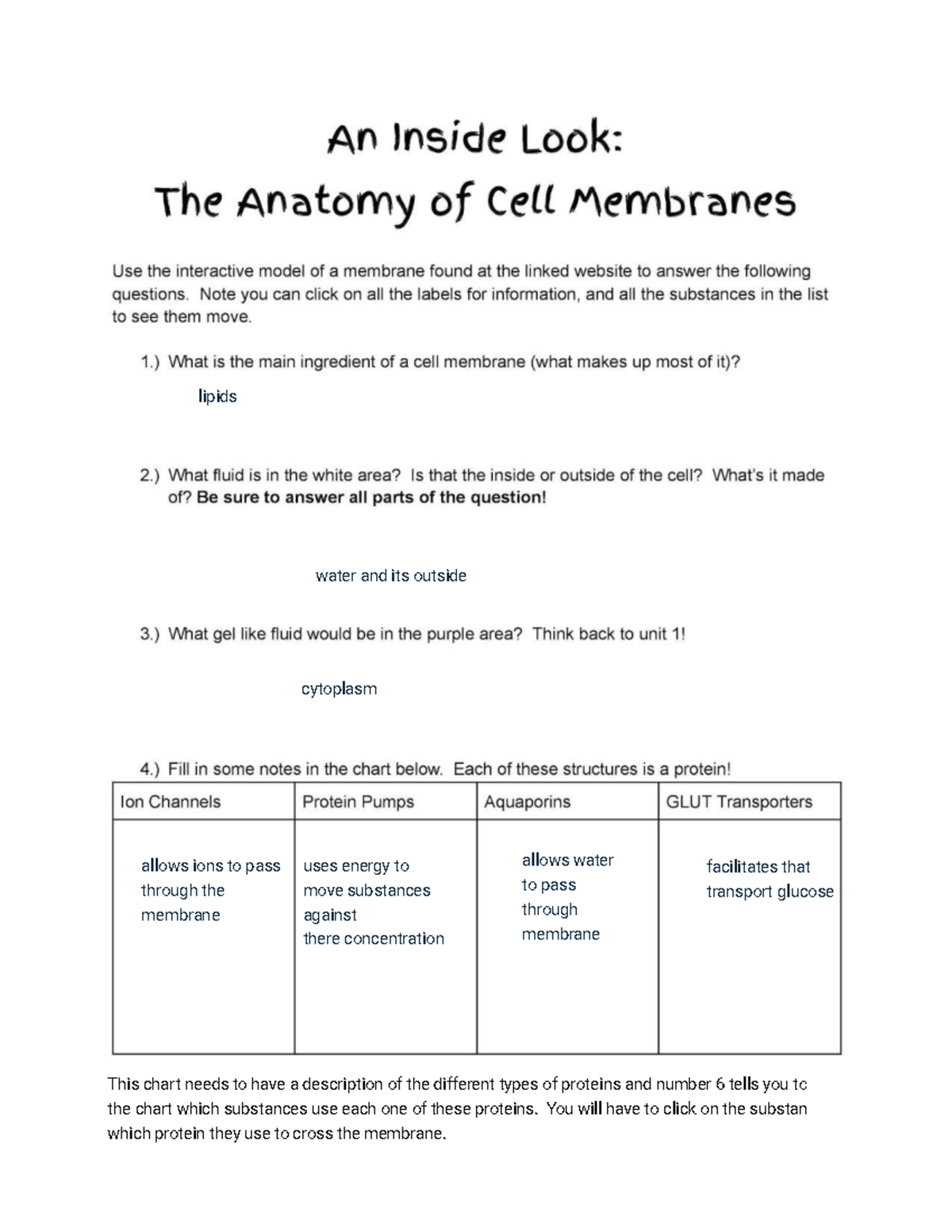 Interactive Cell Membrane Proteins - BIOL 101 Lecture Notes - Studocu