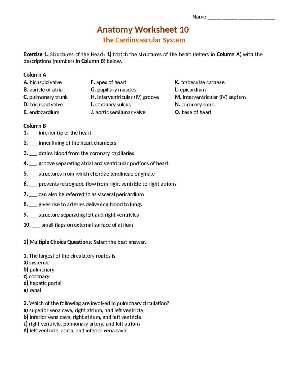 Anatomy worksheet 10: The cardiovascular system overview - Studocu