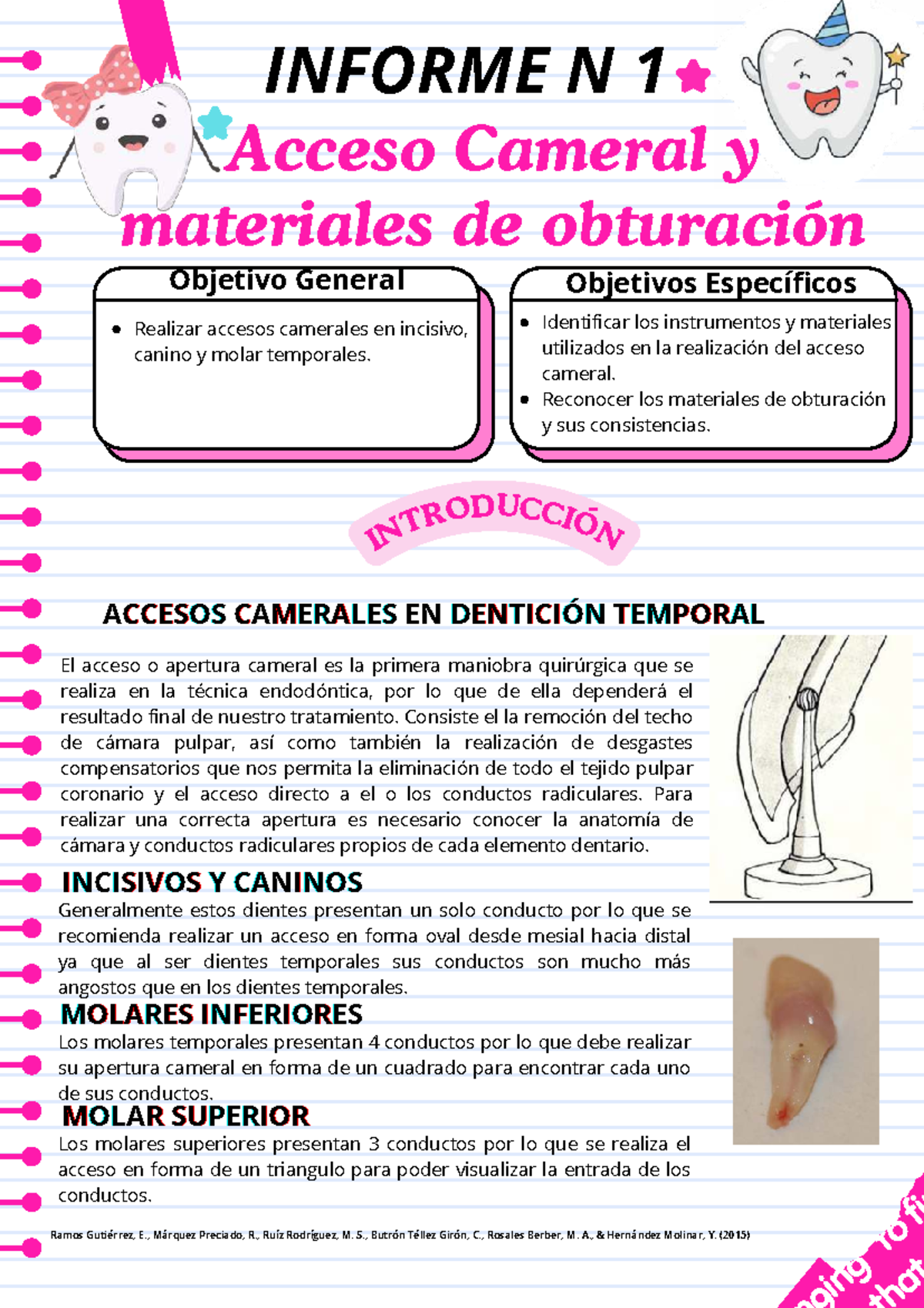 Informe de Acceso Cameral y Materiales de Obturación - Curso Denta 101 ...