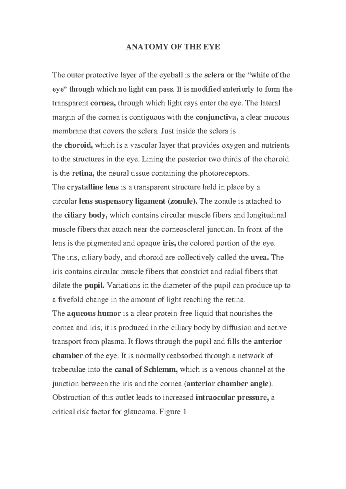 Anatomy of the Eye: Structure, Function, and Refractive Errors - Studocu