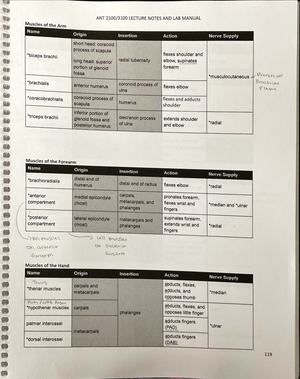 Comprehensive Study Guide on Muscular System Anatomy and Function ...