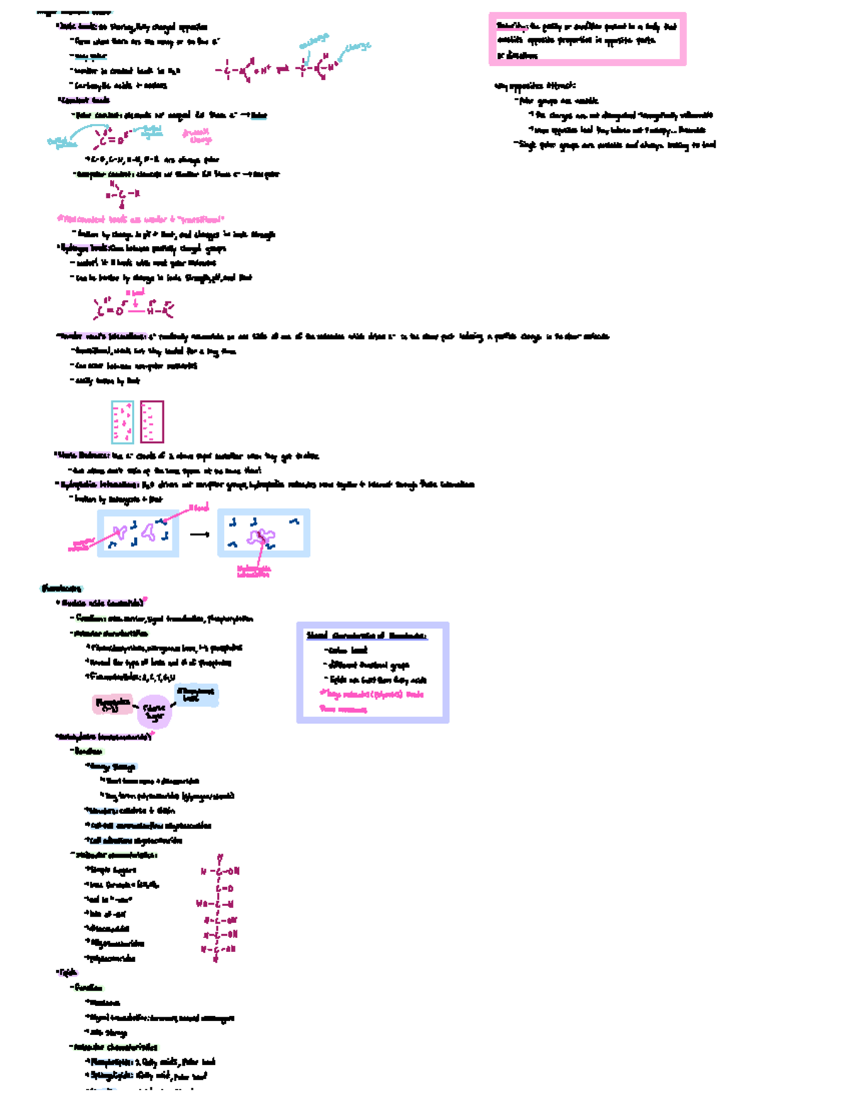 Study Guide: Summary of Lecture Content for Exam 1 (BIO 101) - Studocu