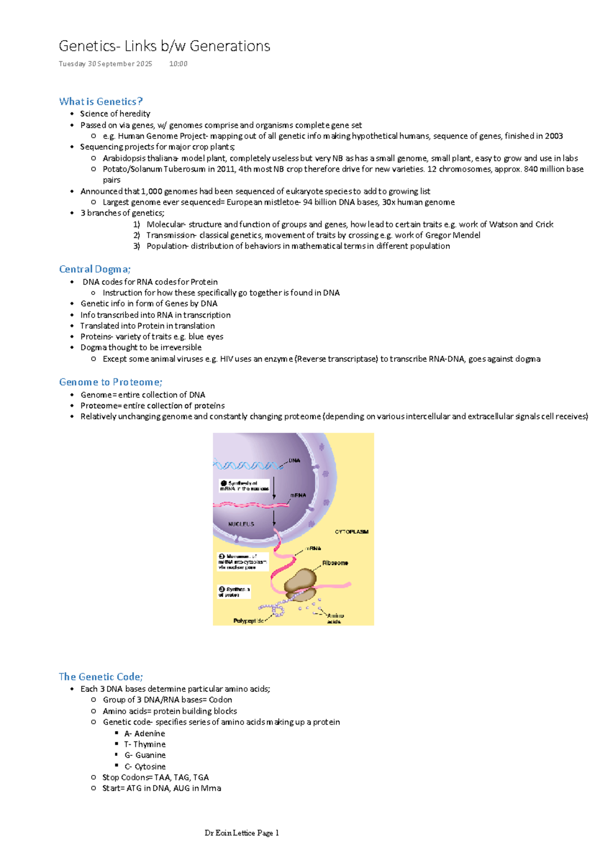 Genetics Overview: Key Concepts and Central Dogma - Studocu