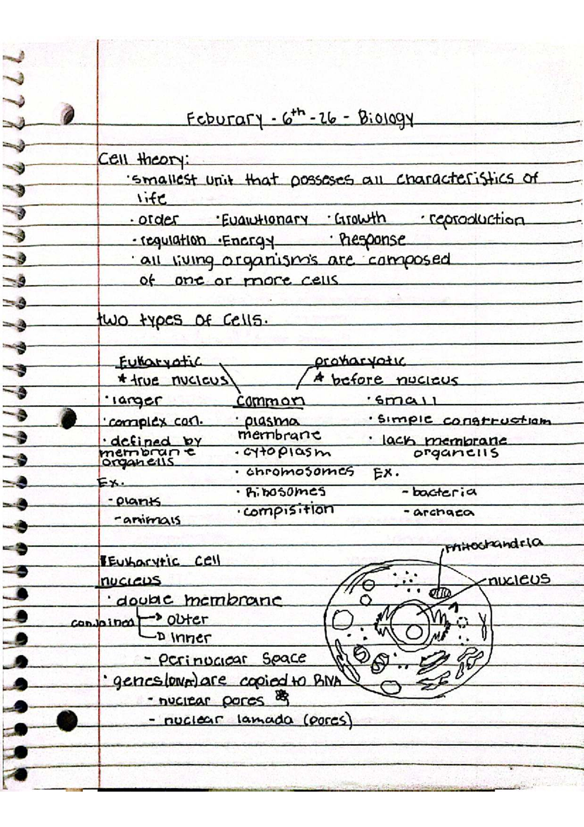 Biology Lecture Notes - Cell Theory and Cell Types - Studocu