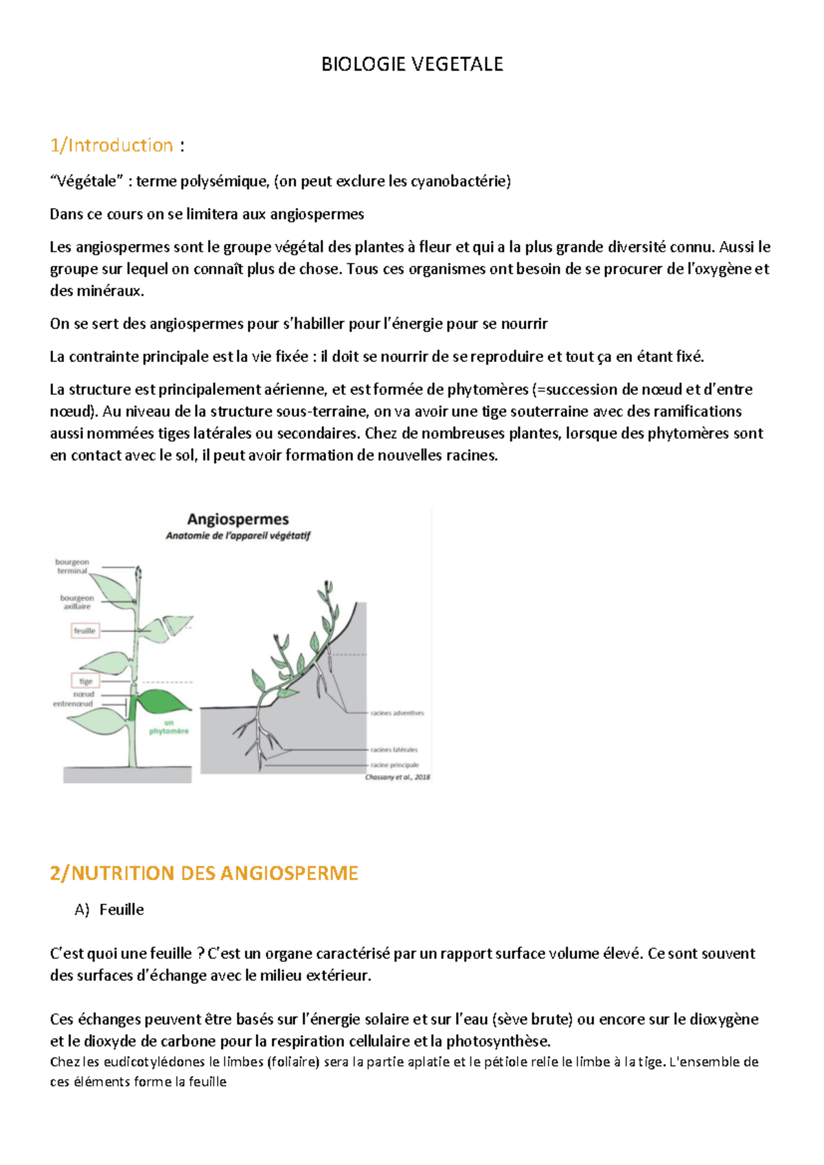 Biologie végétale : étude des angiospermes et de leur reproduction ...