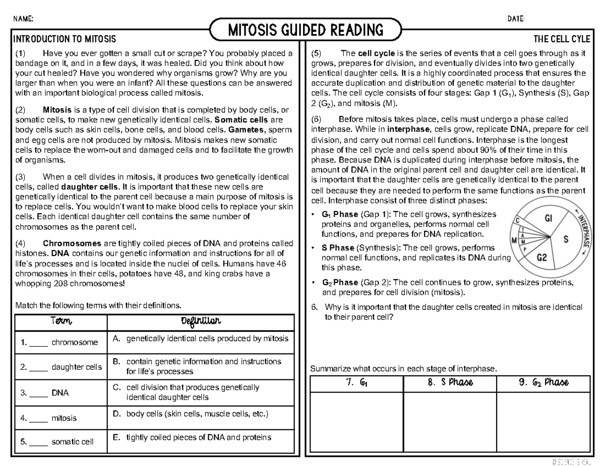 BIO 101 Mitosis Guided Reading: Understanding Cell Division - Studocu