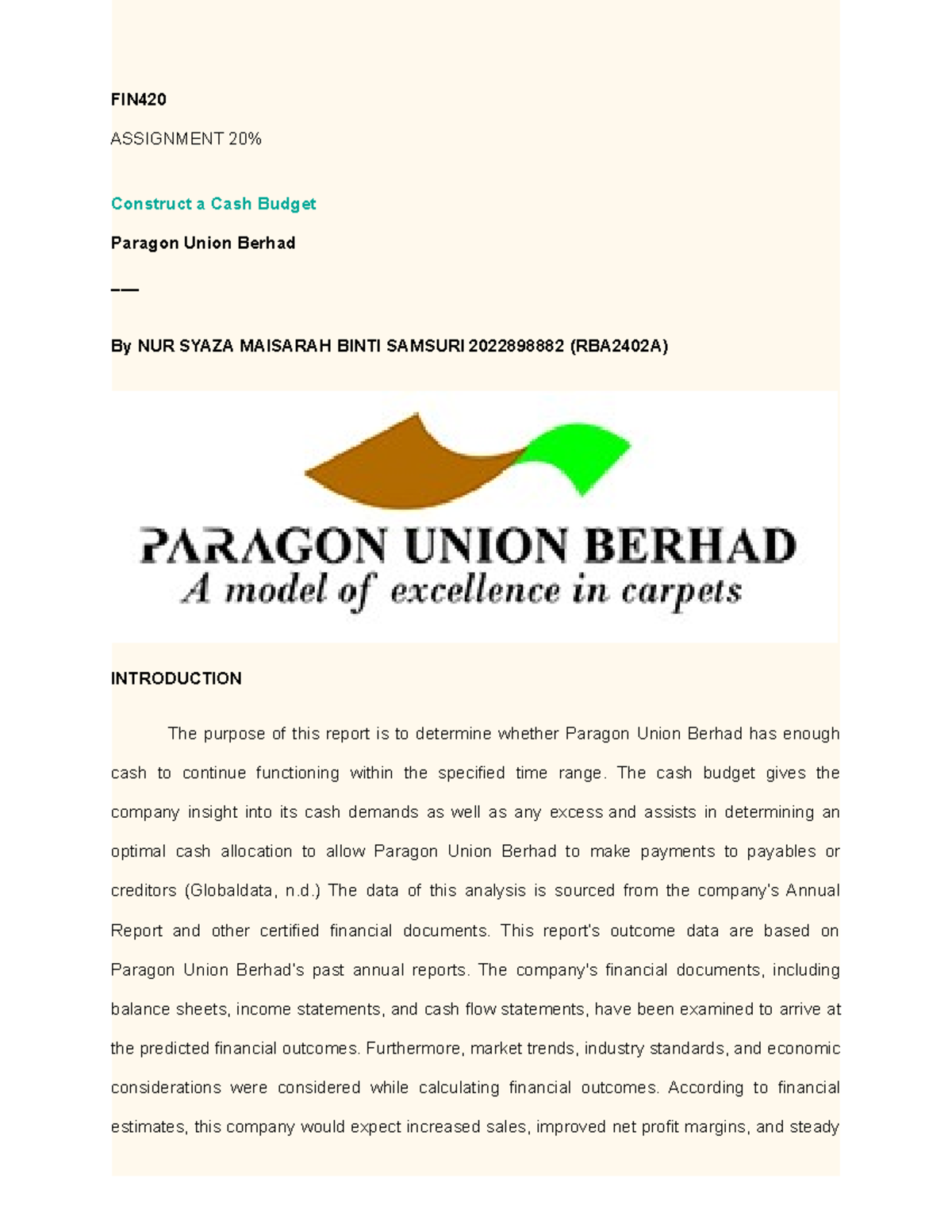 Paragon Union Berhad CASH Budget ( Syaza) - FIN ASSIGNMENT 20% ...