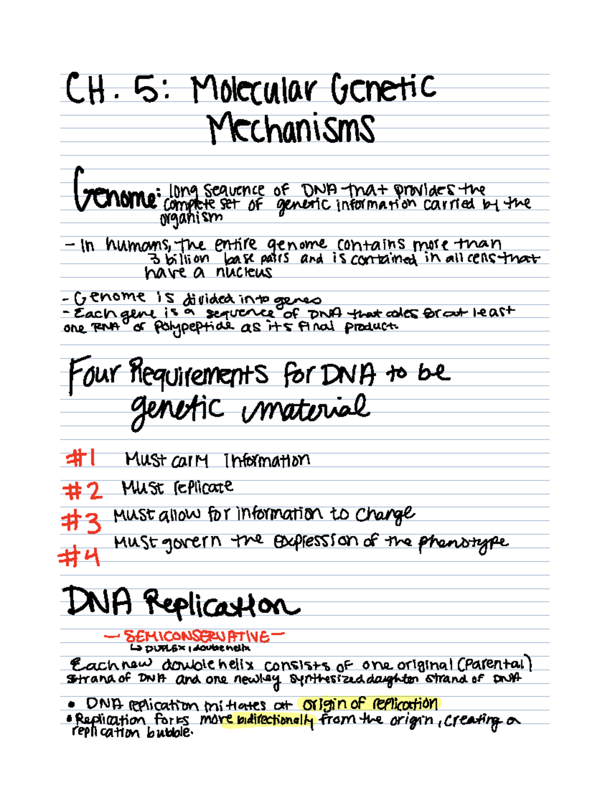 Cell and Molecular Biology chapter 5 notes - CH 5 Molecular Genetic ...