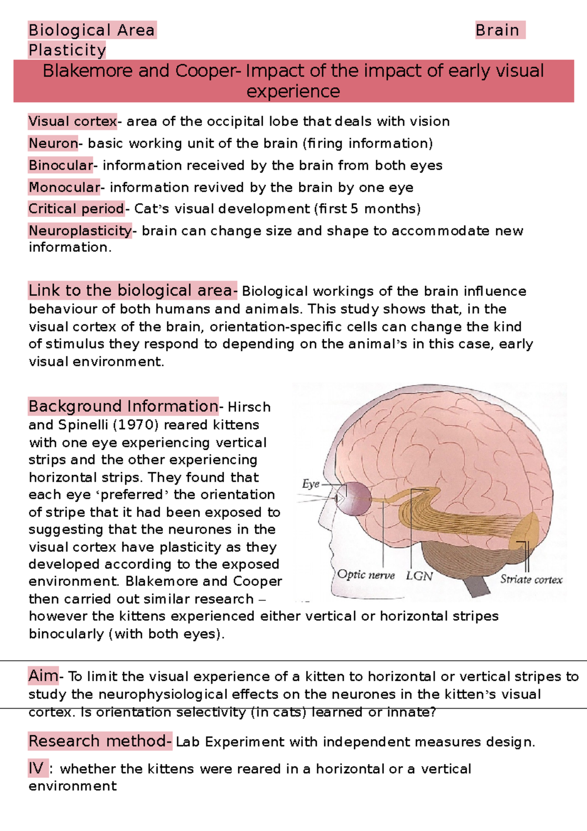 A-Level Psychology Notes: Blakemore & Cooper's Biological Area Research ...