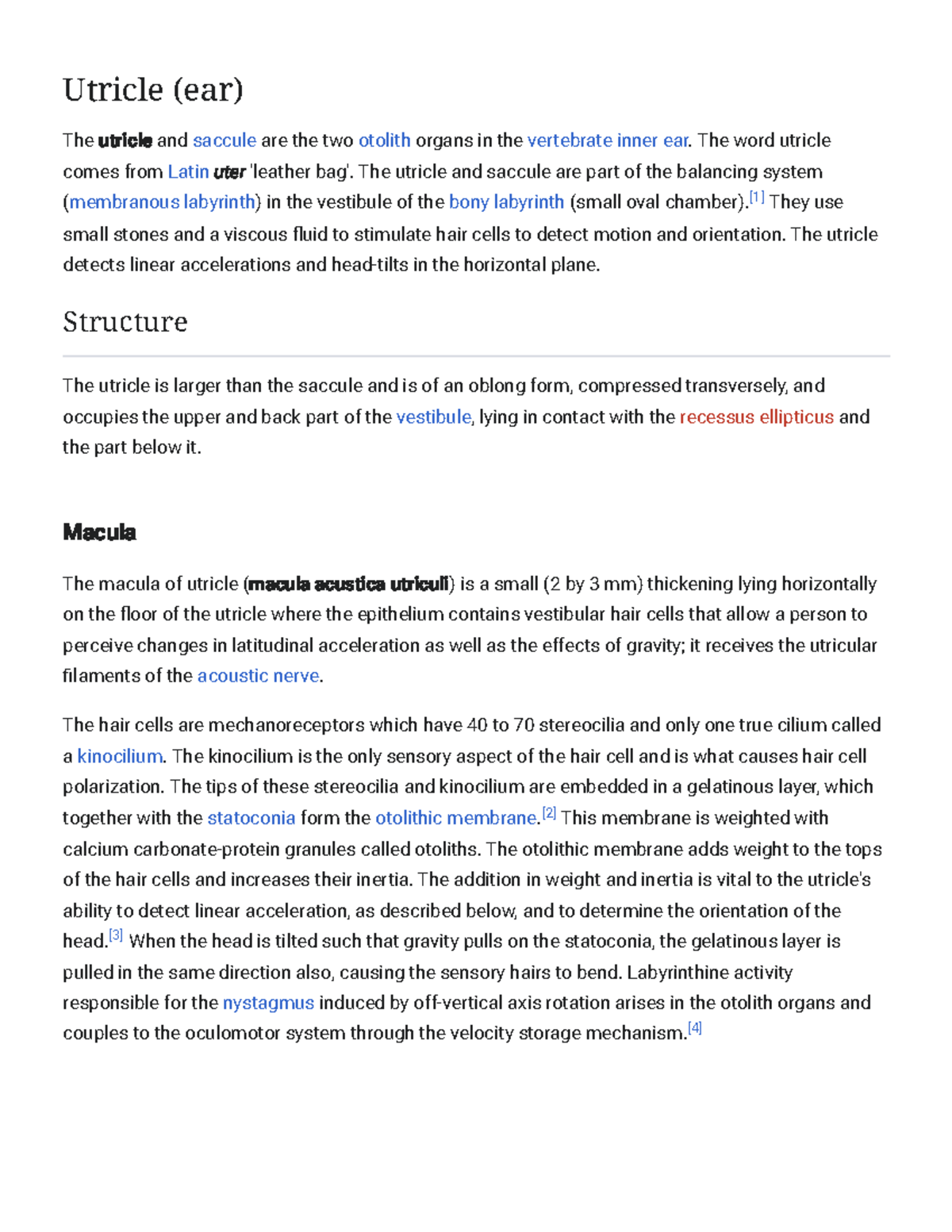 Utricle (Ear) Anatomy and Function: A Detailed Overview - Studocu