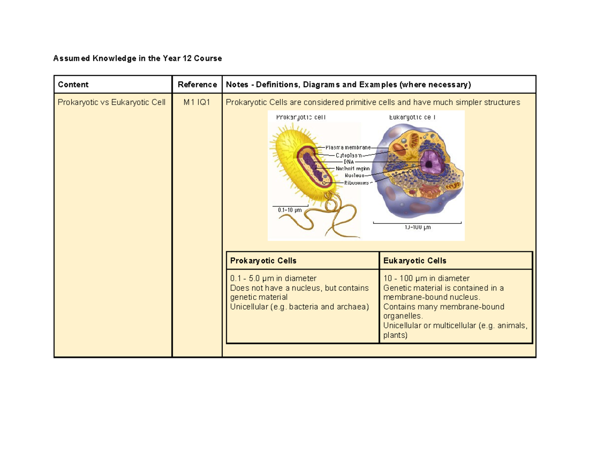 Assumed Knowledge for Year 12 Biology: Prokaryotic vs Eukaryotic Cells ...