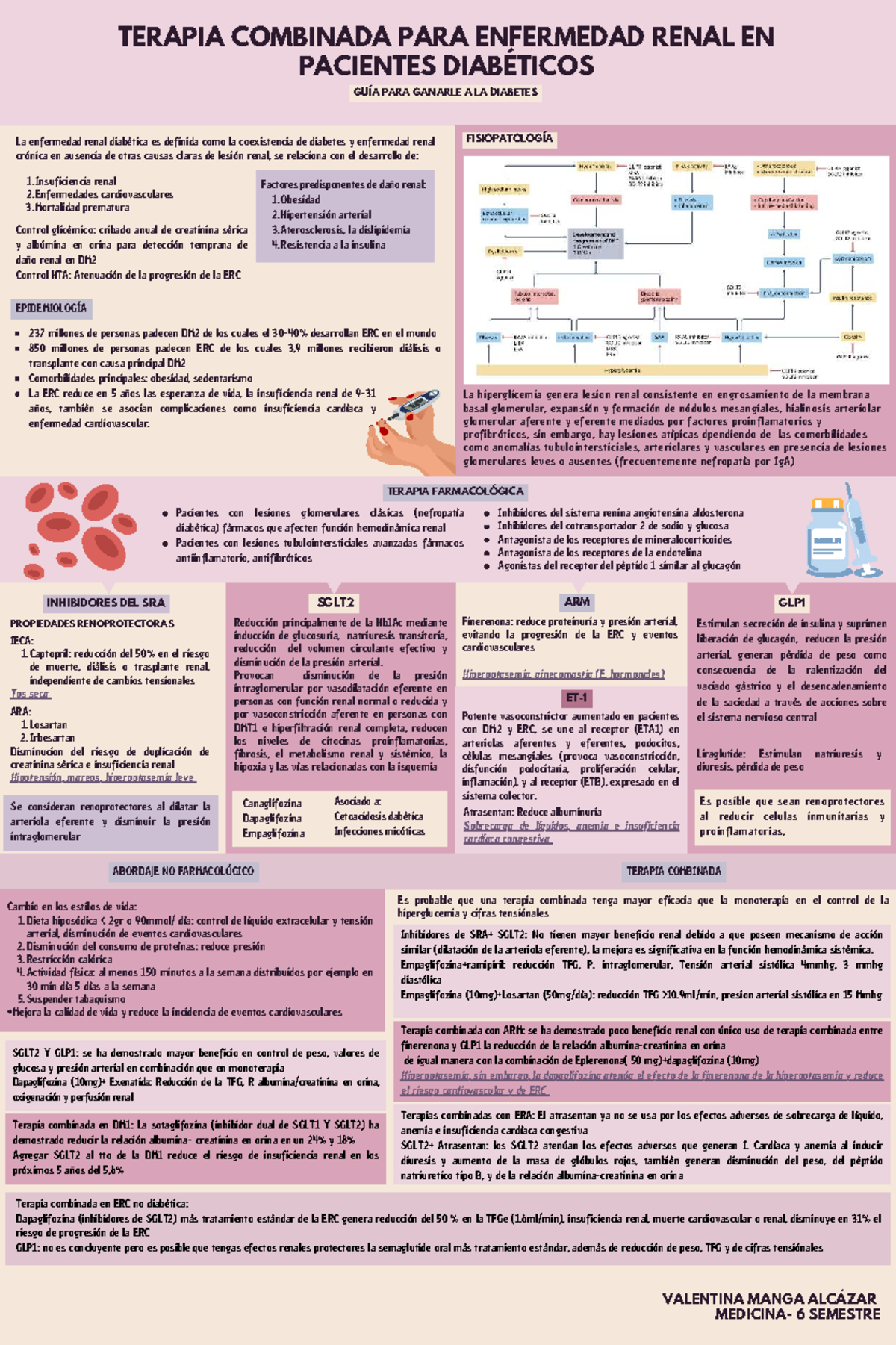 Terapia Combinada en Diabetes y Enfermedad Renal Crónica (ERC) - Guía ...