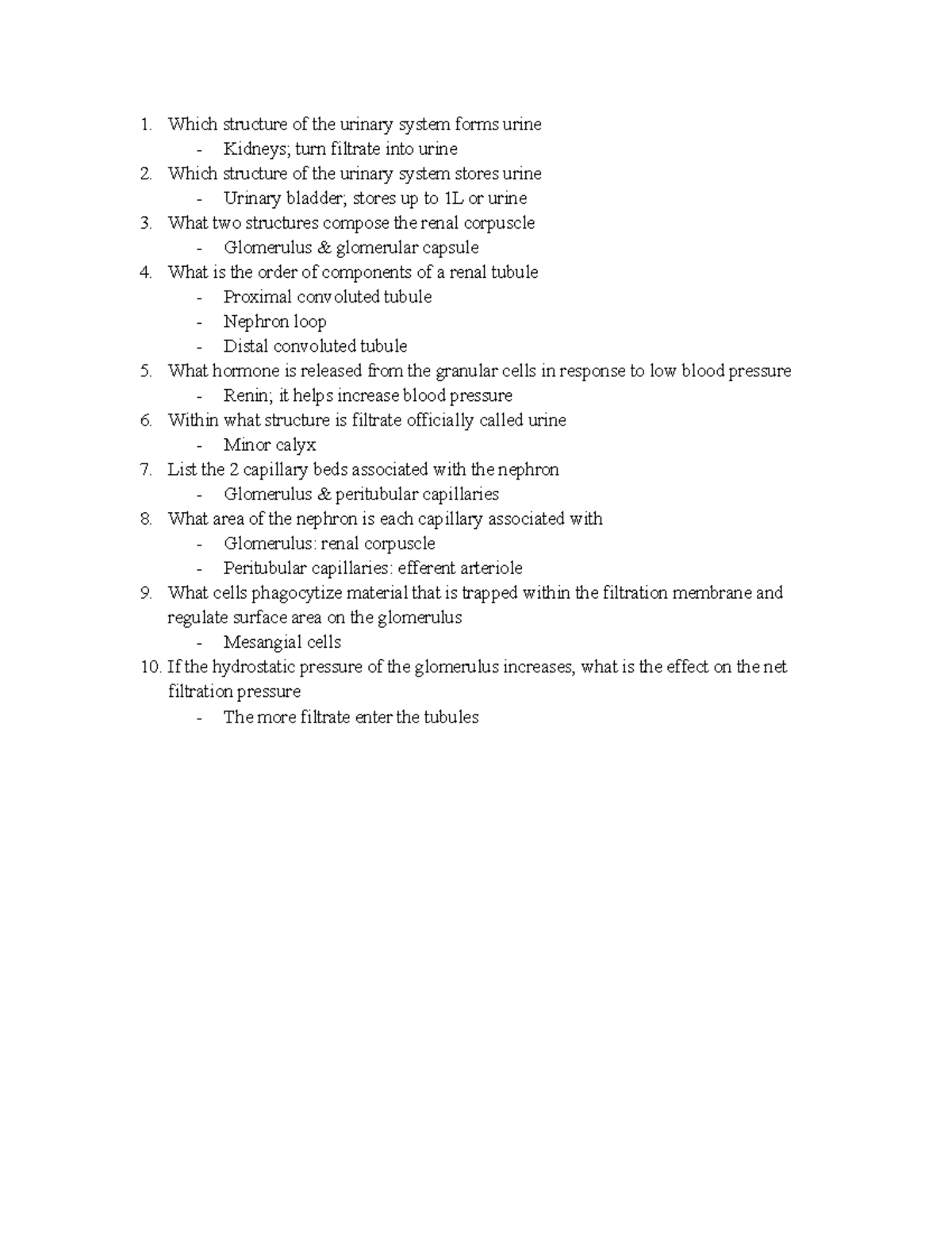 Urinary System Practice Questions - Which structure of the urinary ...