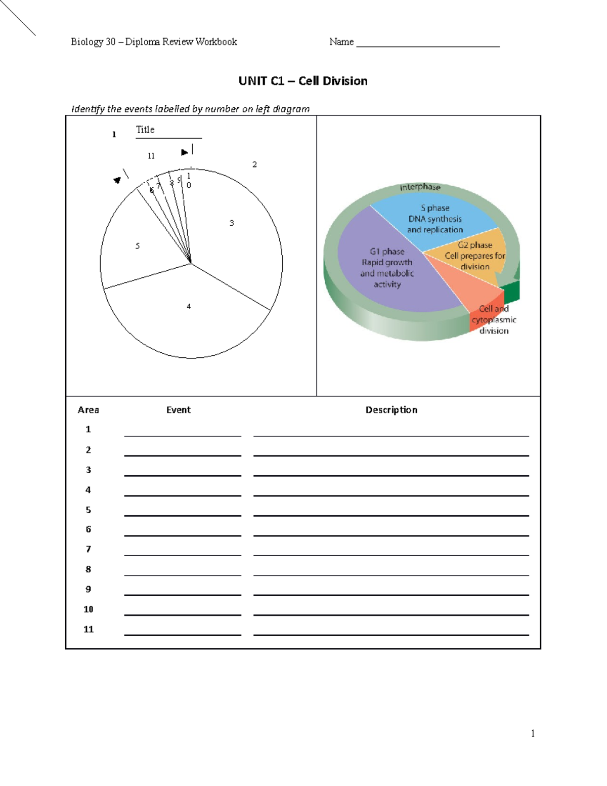 Bio 30 Review WB - DNA, Cell Division, and Genetics Concepts - Studocu