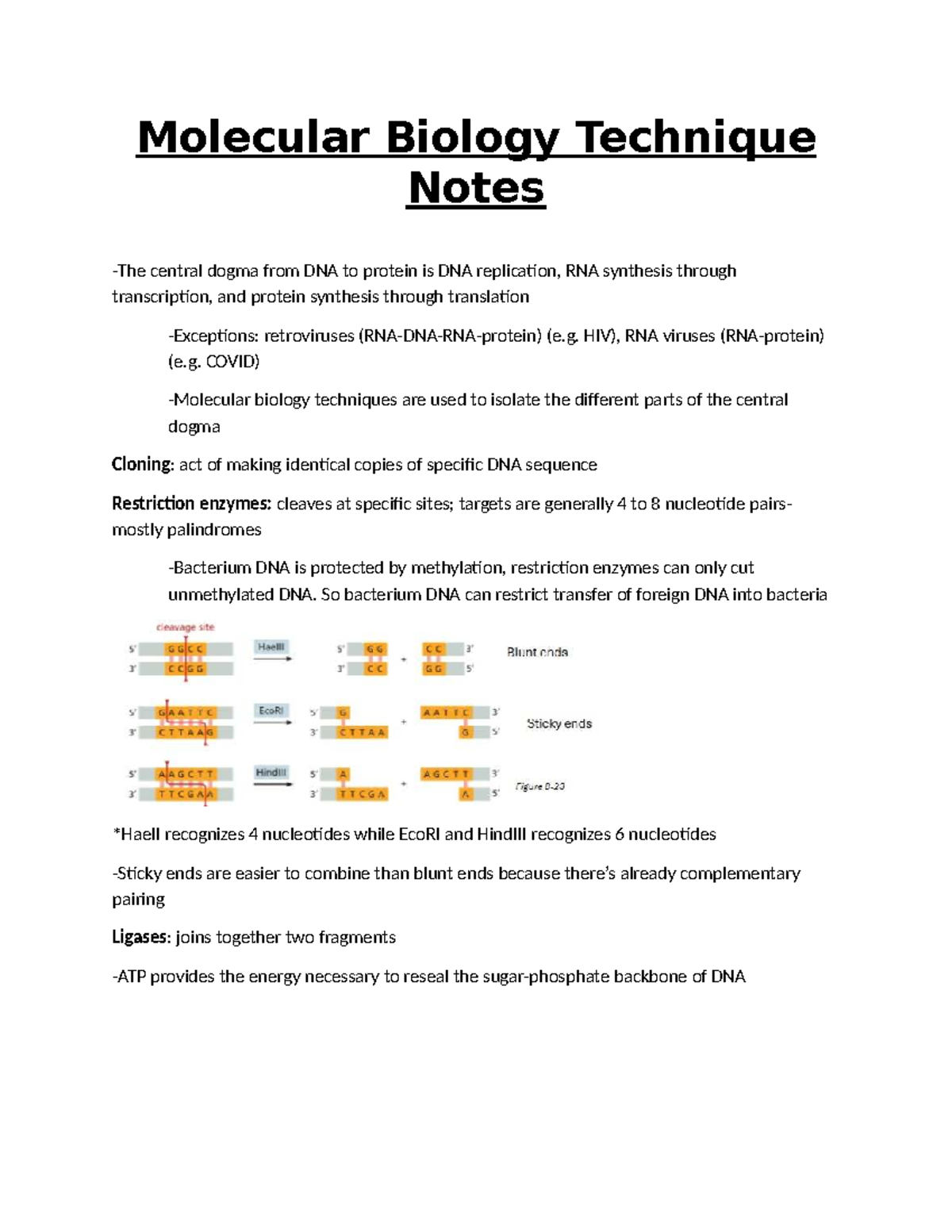Molecular Biology Techniques: Cloning, CRISPR, and PCR Notes - Studocu