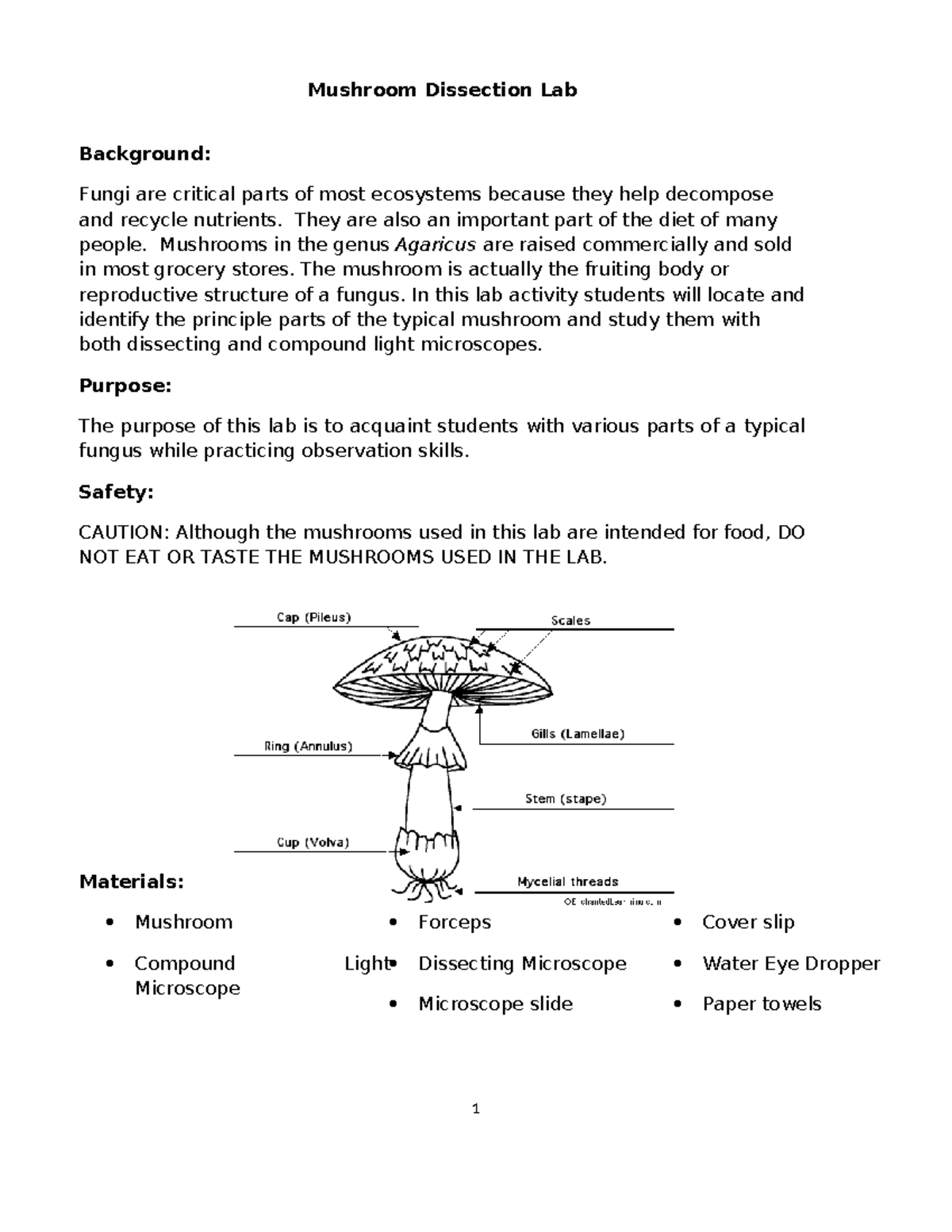 Mushroom Dissection Lab: Exploring Fungal Anatomy and Reproduction ...