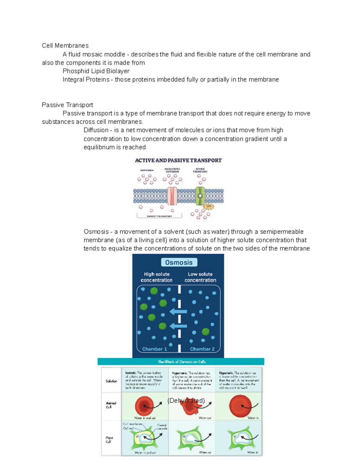 Chapter 2-8: Cell Membranes & Passive Transport Overview - Studocu