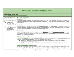 Countercurrent exchange - The diagram shows the concurrent and ...