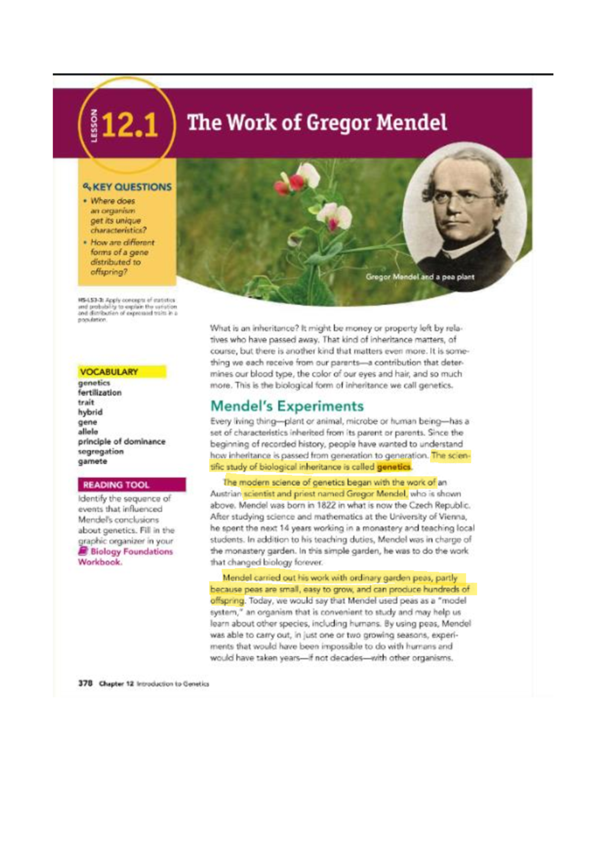 G10 Biology Midterm 2 Highlights: Mendel's Work and Genetic Principles ...
