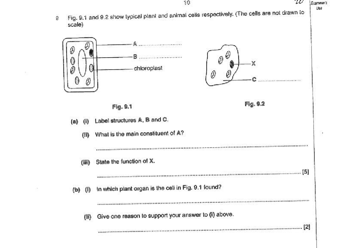 Bio Exercise 1: Plant and Animal Cell Structures and Functions - Studocu