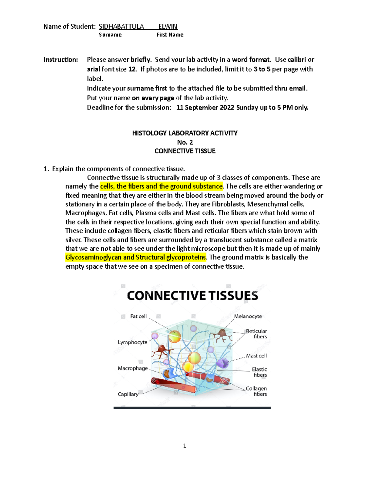 Connective Tissue Histology Lab Report (Biology 101): Q&A Insights ...