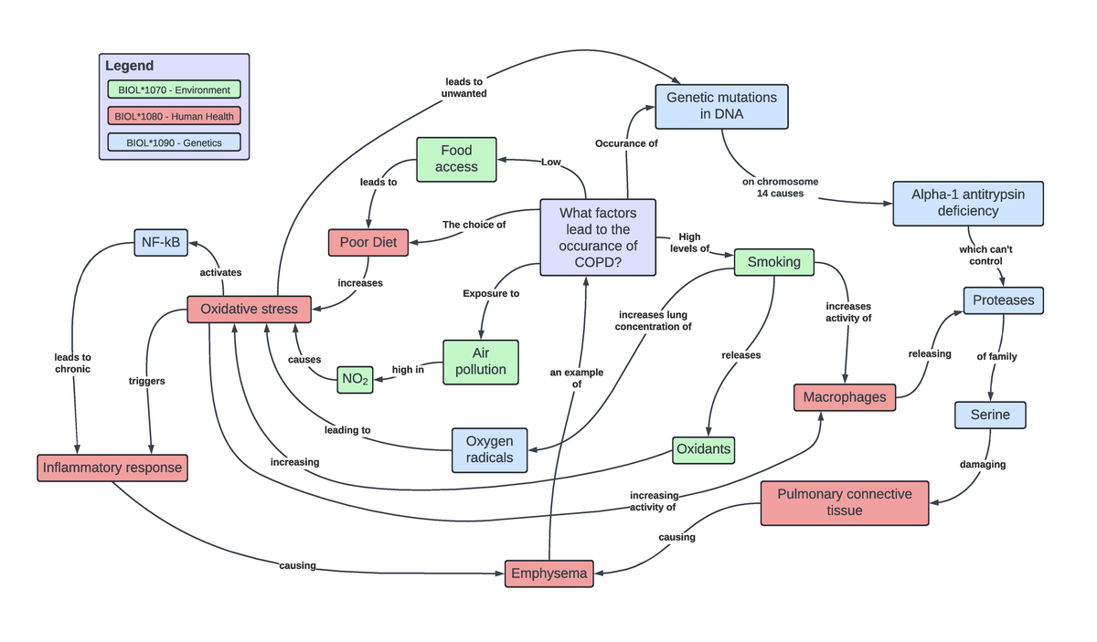COPD Concept Map - What factors lead to the occurance of COPD ...