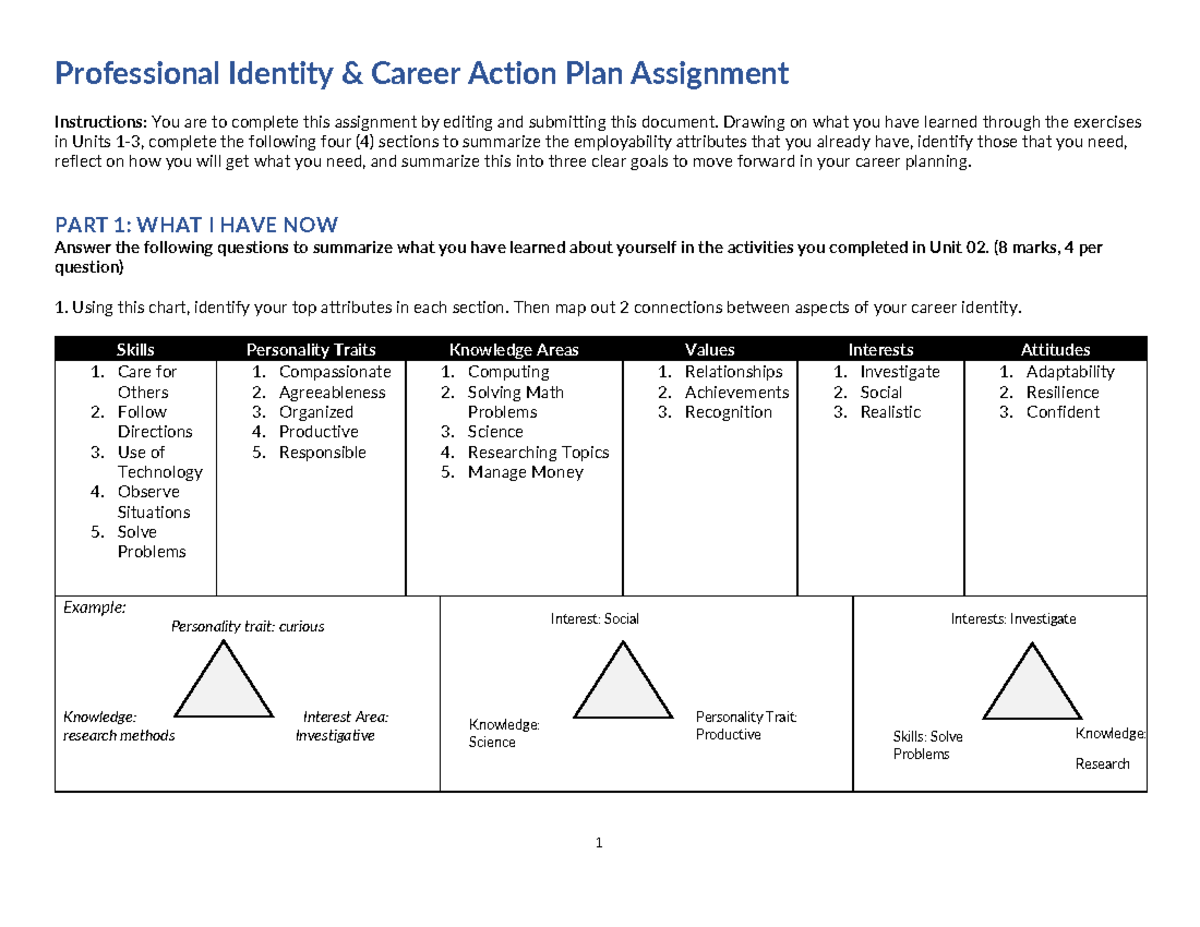 Career Action Plan: A Reflection on My Professional Identity - Studocu