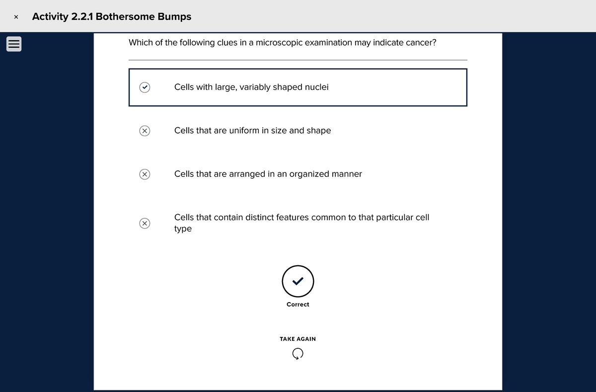 Activity 2.2.1: Identifying Cancer Clues in Microscopic Exam - PBS ...