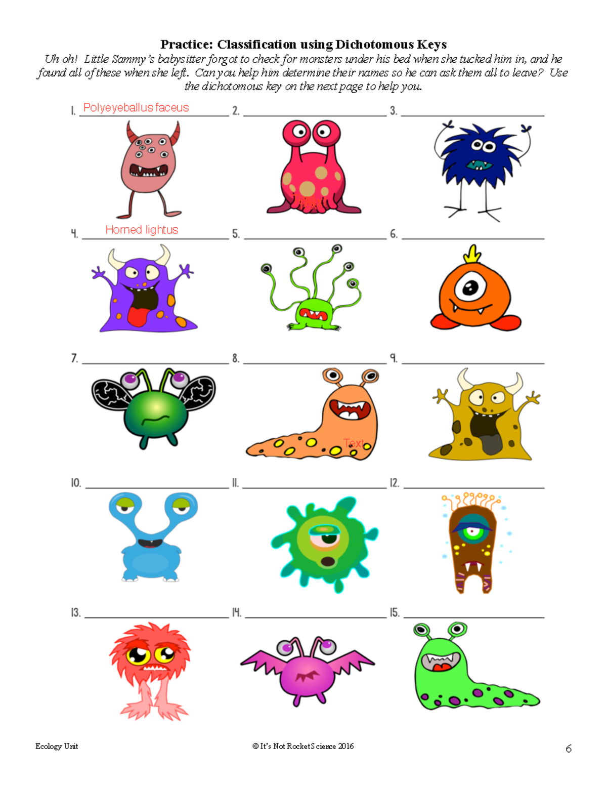Practice Classification using Dichotomous Keys - Gestio de Base de ...