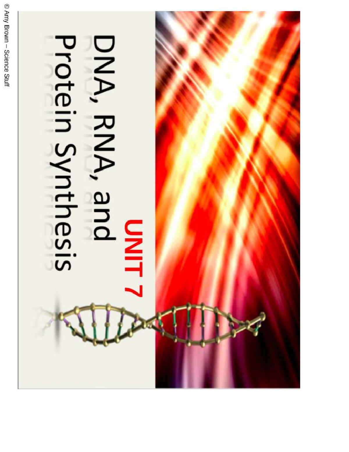 Unit 7: DNA, RNA, and Protein Synthesis Slides - UNIT 7 DNA, RNA, and ...