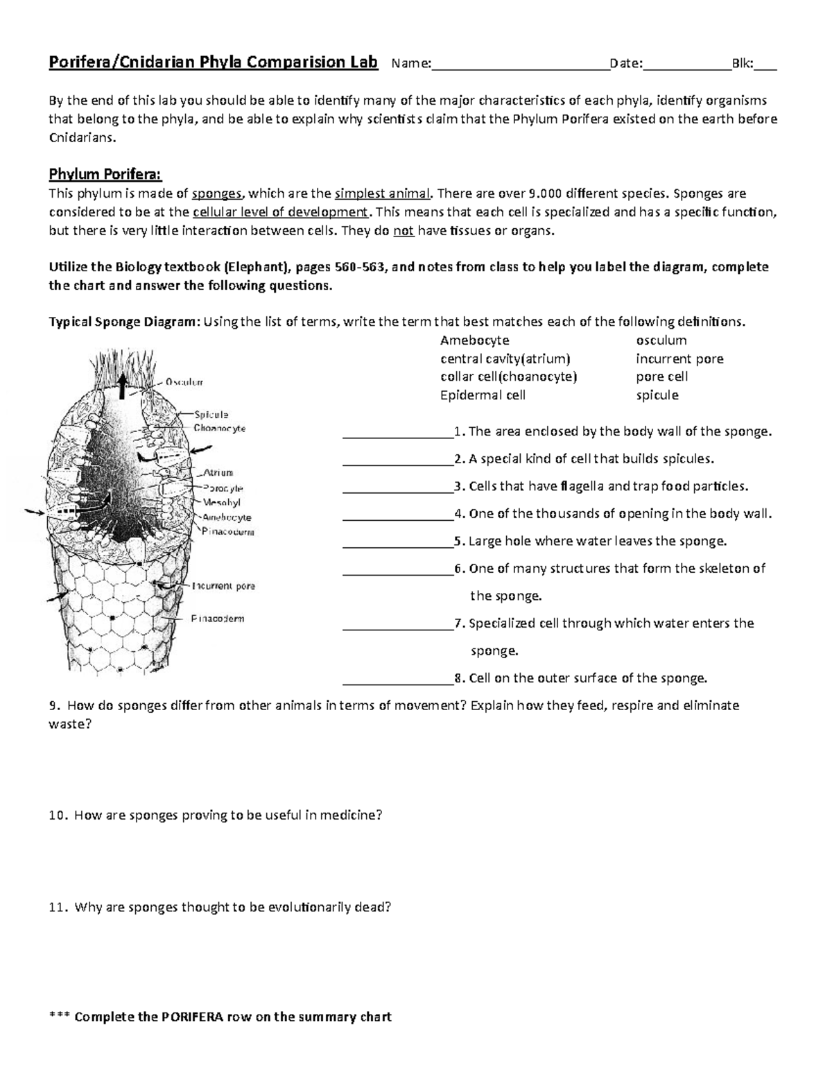 Porifera and Cnidaria Comparison Lesson - Porifera/Cnidarian Phyla ...