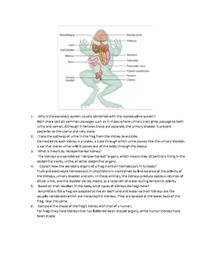 Anatomy of a Frog - Anatomical Terms, Planes and Axes Anatomical Terms ...