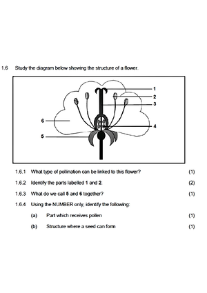 Agric Revision Notes for G12: Basic Agricultural Genetics Guide - Studocu